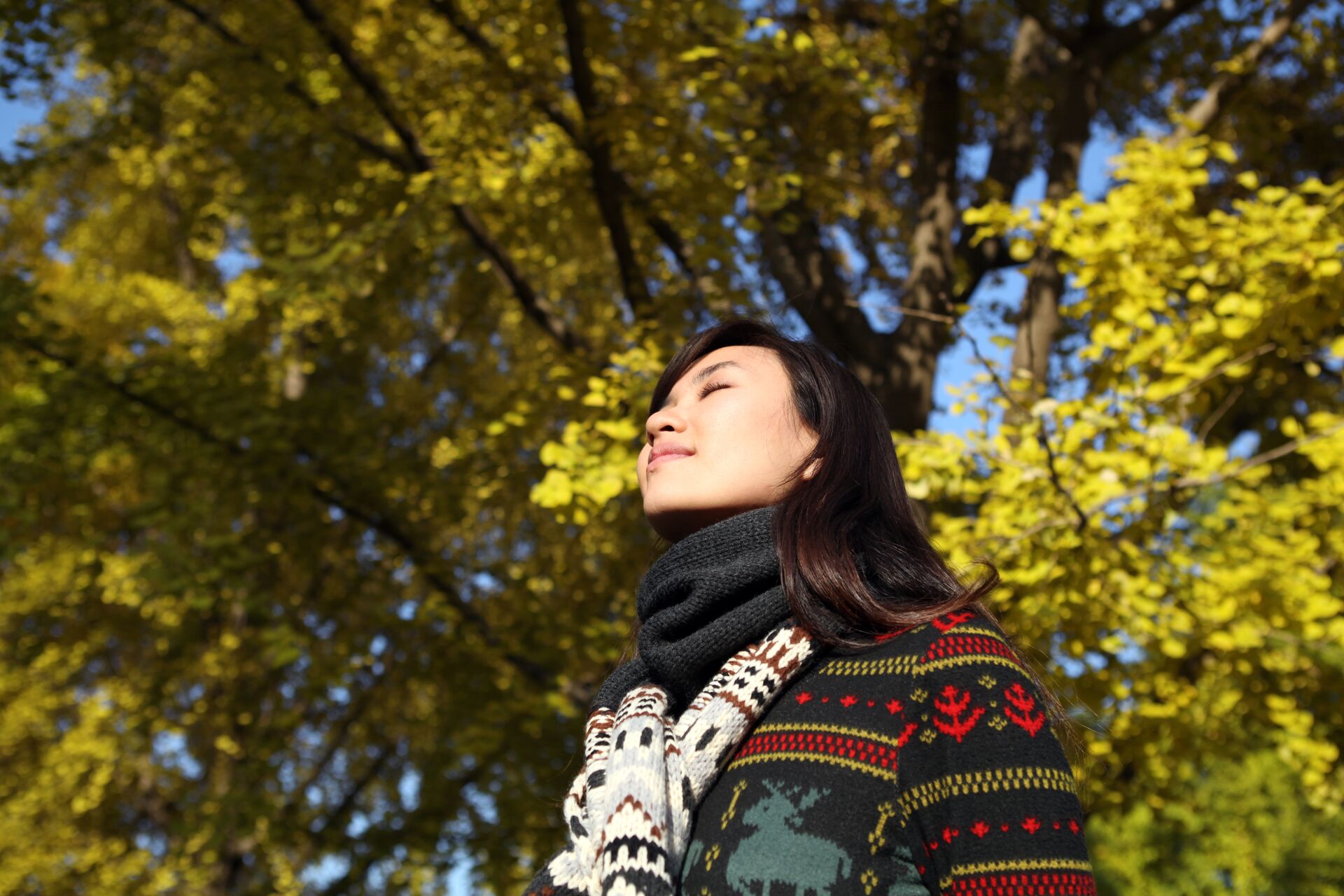 Champ d'application de la CCN Services à la personne